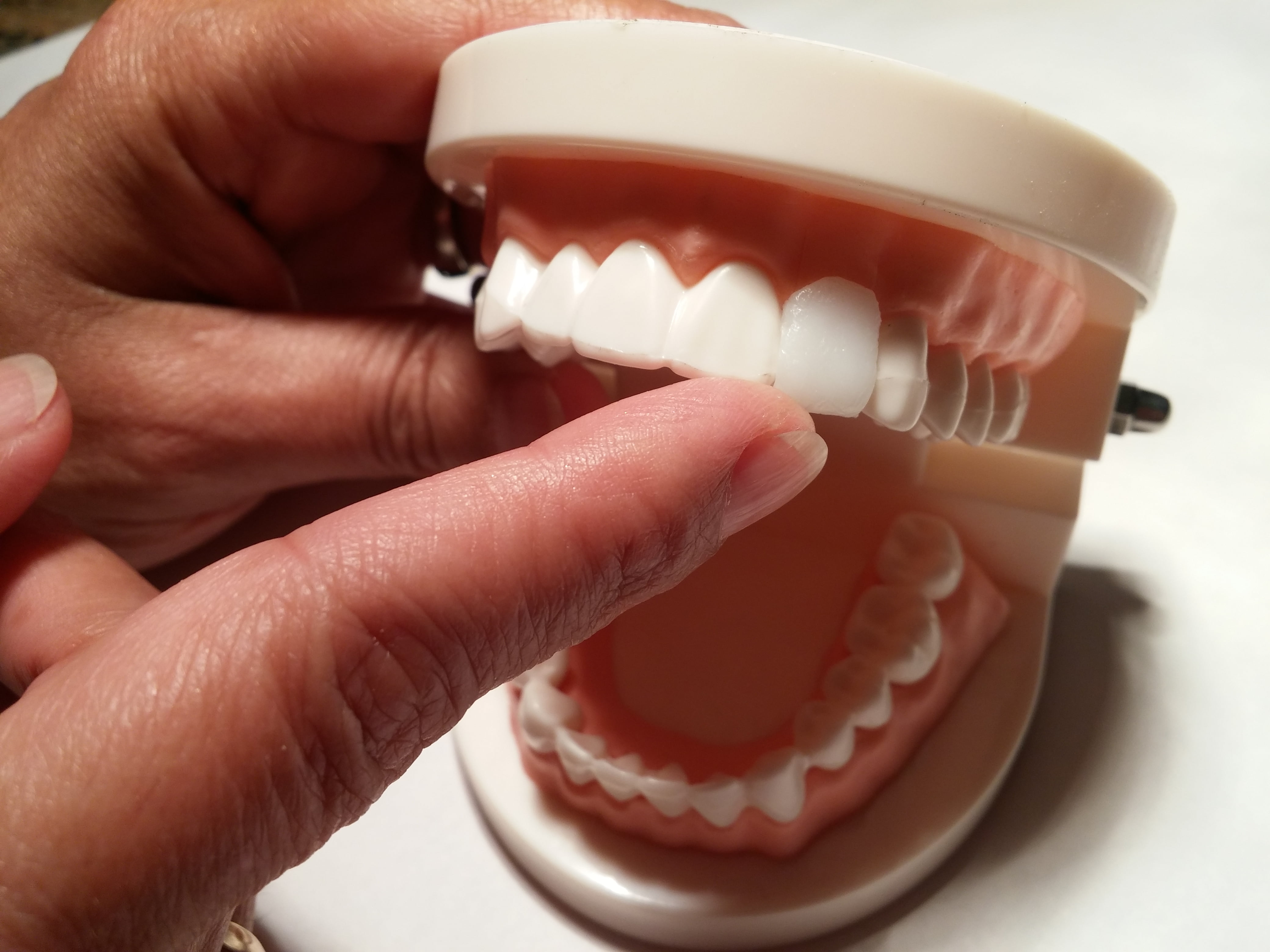 Make Your Own False Teeth Kit