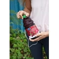 Ocean Spray Pure Tart Cherry, 32 Fl Oz (Pack of 32) - Walmart.com