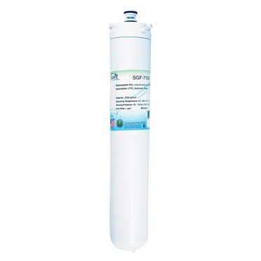 Swift Green Filters SGF-GWF Replacement Water Filter for GE GWF RPWF ...
