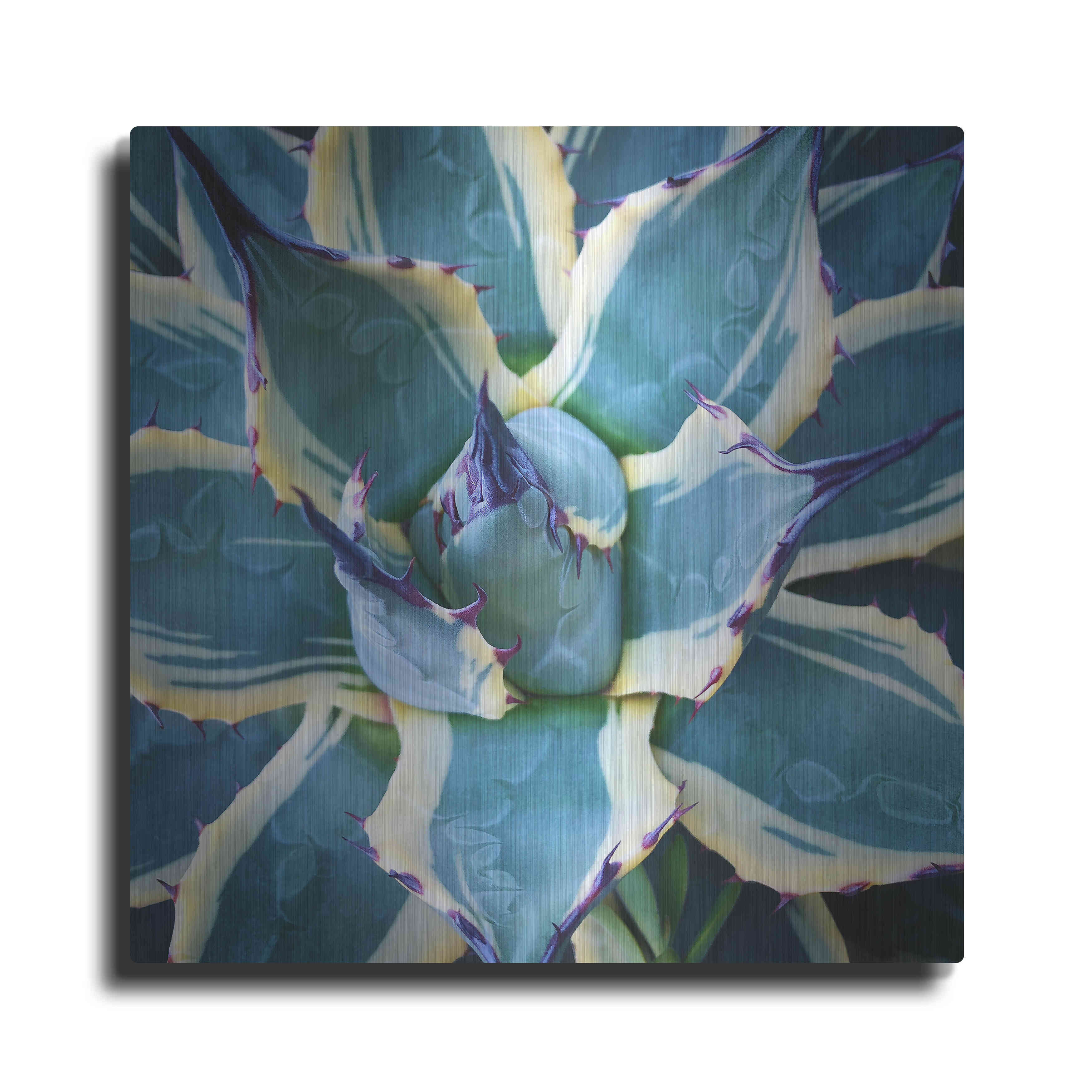 Luxe Metal Art 'Elegant Thorns' by Jan Bell Metal Wall Art, 12"x12 ...