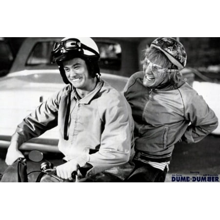 Dumb & Dumber Movie Poster (11 x 17) - Walmart.ca