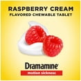 Dramamine Chewable Less Drowsy, Motion Sickness Relief, Raspberry Cream ...