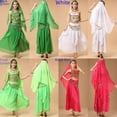 Indian Dance Suit Adult Female Belly Dance Performance Costume Ethnic