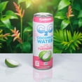 (2 pack) C2O Pure Coconut Water with Ginger, Lime and Turmeric, 17.5 fl ...