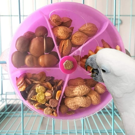 Lepai Rotating Parrot Toy Rotating Wheel Birds Parrot Rotating Toy Bird ...