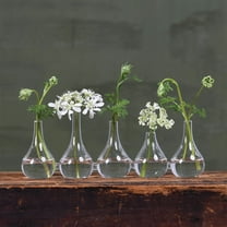 HomeRoots 384125 Quintuplet Joined Glass Posy Vases - Set of 5 ...