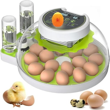 Wildnix Egg Incubator Controller, Automatic Digital Temperature ...