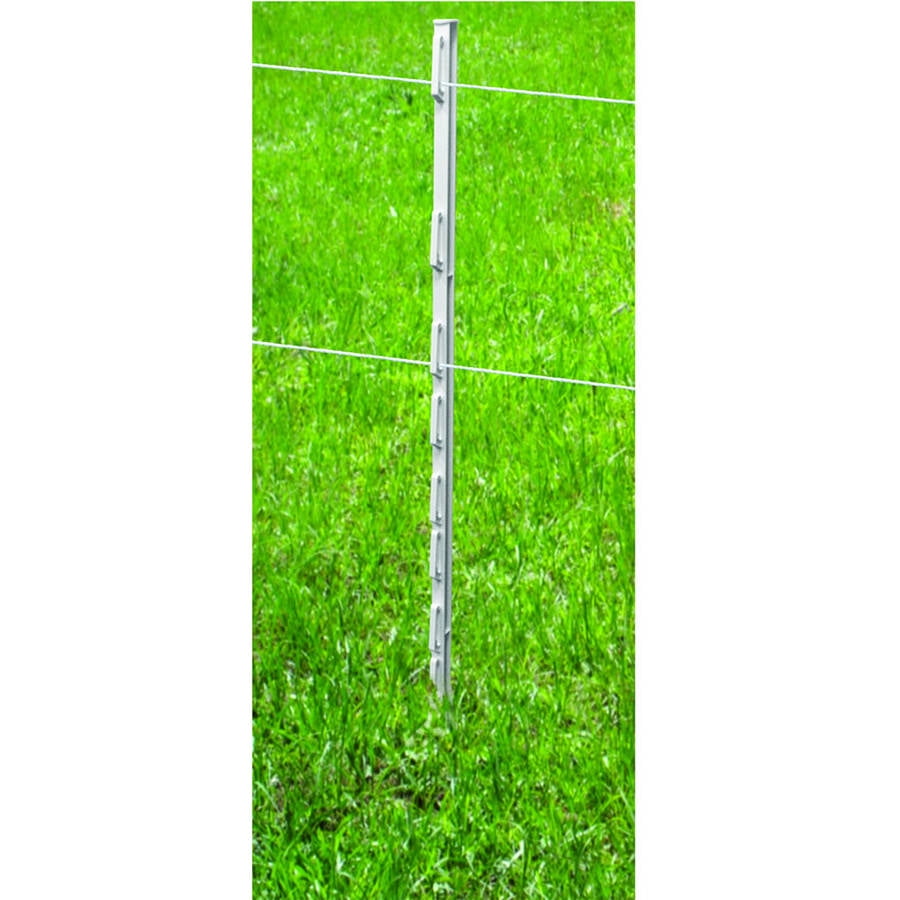 Patriot SENTINEL Plastic Tread-In Post, White, 50pk - Walmart.com