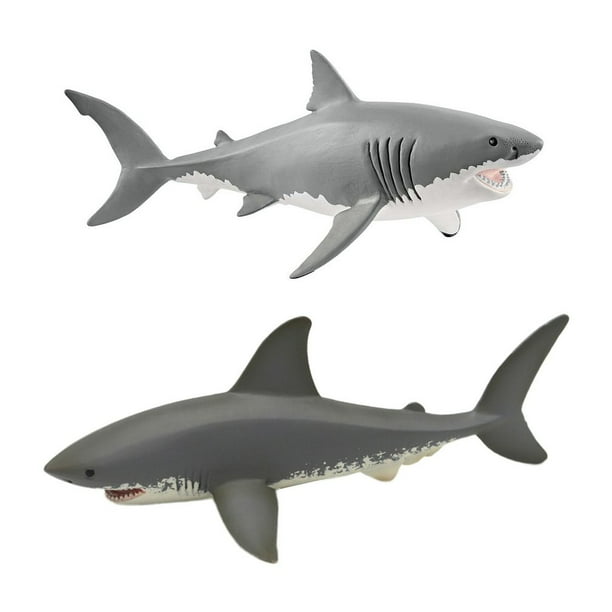 Simulation Shark Ocean Sea Life Simulation Animal Model Shark Action ...