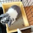 Steel Grids Rabbit Litter Box - Bunny Litter Pan Training Box, 15x11x4 ...