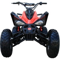 Coolster 3200S, Sports Style, Full sized ATV, Alloy Rims, Automatic ...