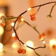 Fruit String Lights Battery Powered Indoor Outdoor Lighting Lamp for ...