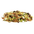 Zilla Reptile Munchies Omnivore Nutritional Mix Lizard Food 3-Pack ...