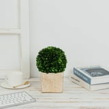 BOXWOOD WORLD Preserved Boxwood Ball Topiary for House Decor Potted ...