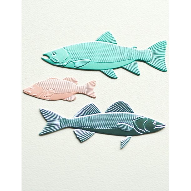 Memory Box 3D Embossing Folder & Dies-Freshwater Fish - Walmart.ca