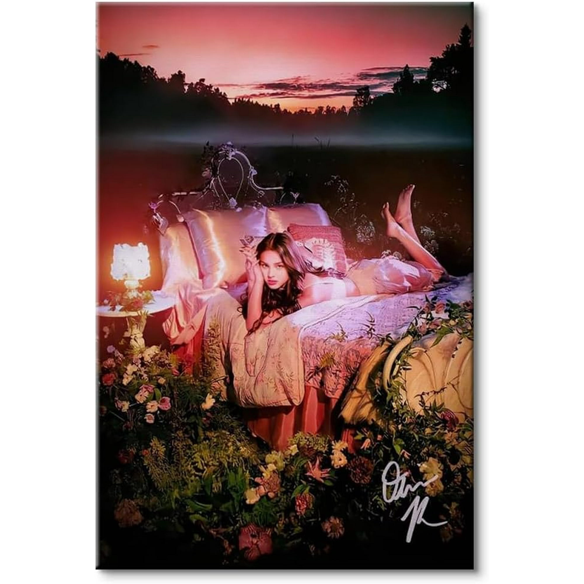 Click here for Pphaosho Olivia Rodrigo Poster Frameless Painting... prices