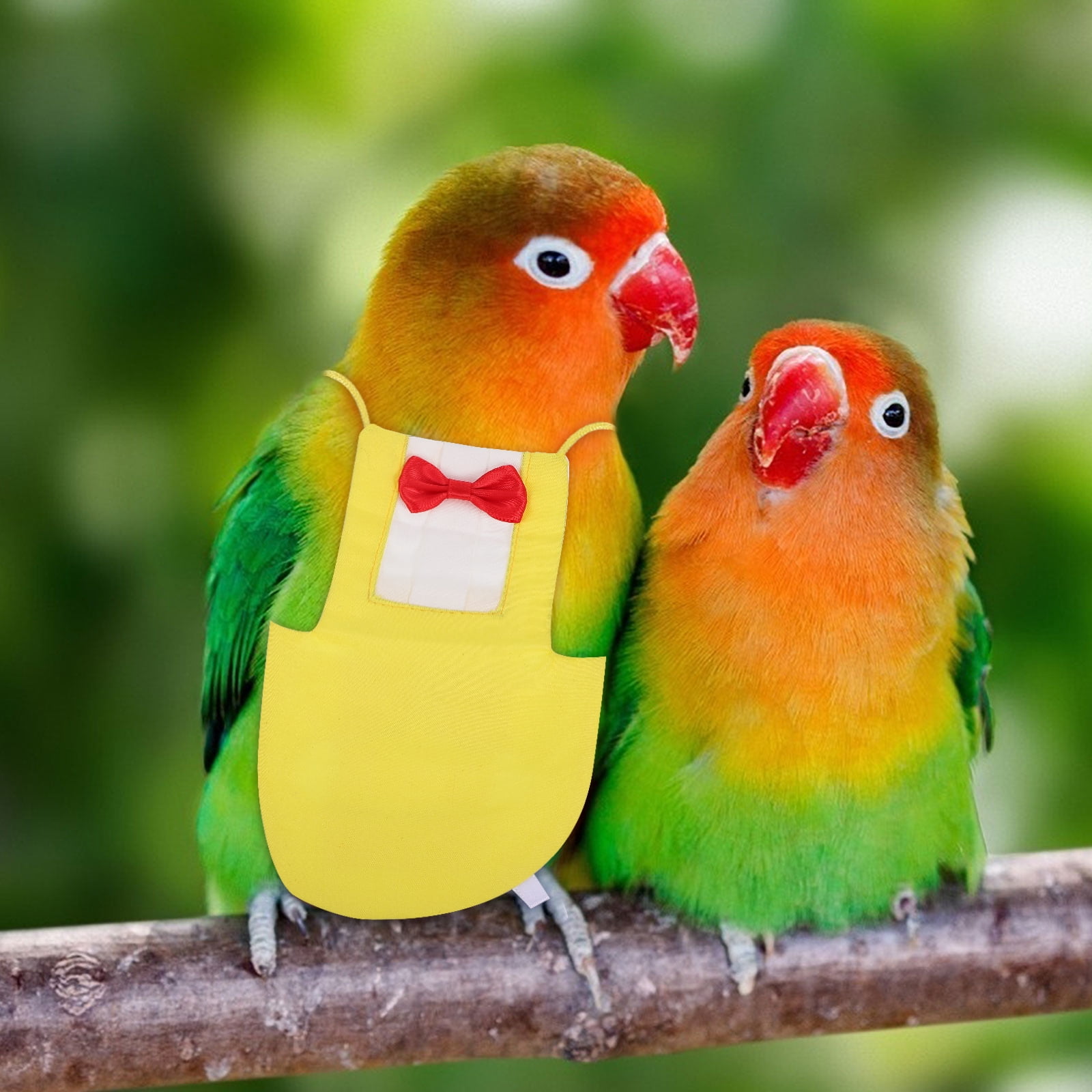 Parakeet Clothes Bird Diapers Parrot Diaper Flight Suit Fruit | Pet ...