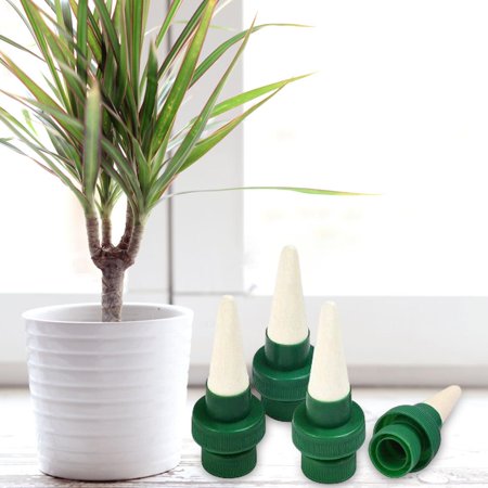 Bottle Plant Self Watering Self Watering Plants | Walmart Canada