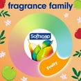 Softsoap Limited Edition Apple Spice Liquid Hand Soap, 7.5 oz - Walmart.com
