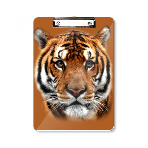 Tiger Body Stripe Meat Clipboard Folder Writing Pad Backing Plate A4 ...