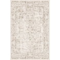 BERTHMEER 8'x10' Oriental Area Rugs Washable Vintage Rugs for Living ...