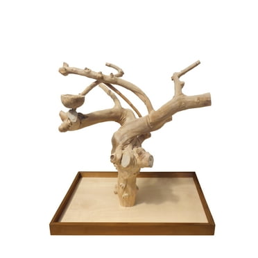 Prevue Pet Parrot Playstand, Large Coffeawood Java Tree Floor Stand ...