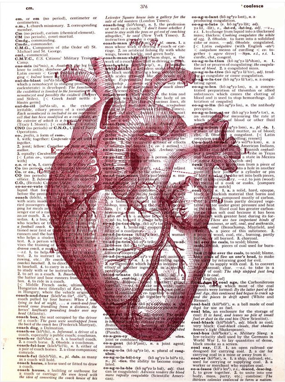 Art N Wordz Red Anatomical Heart Original Dictionary Sheet Pop Art Wall ...