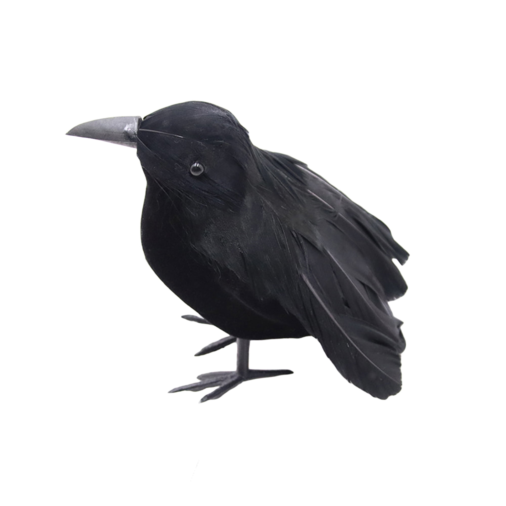 Halloween Crow Images
