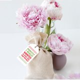 Koyal Wholesale Classic Funny Christmas Gift Tags with String Silly ...