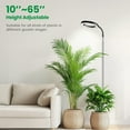 Grow Lights for Indoor Plants, Full Spectrum 65'' Plant Light with ...