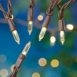 Mainstays Outdoor LED Mini String Lights, Warm White 100-Count, Brown ...