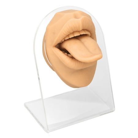 Tongue Mouth Model, Tongue Model Highly Simulation Elastic Silicone For ...