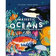 Kai The Missionary Sea Turtle Kai la tortuga marina misionera ...