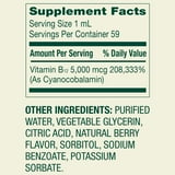 Spring Valley Extra Strength Vitamin B12 Supplement, 5000 mcg, Berry, 2 ...