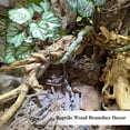 2 Pack Reptile Wood Branches Snake Climbing Branch Bearded Dragon Log ...