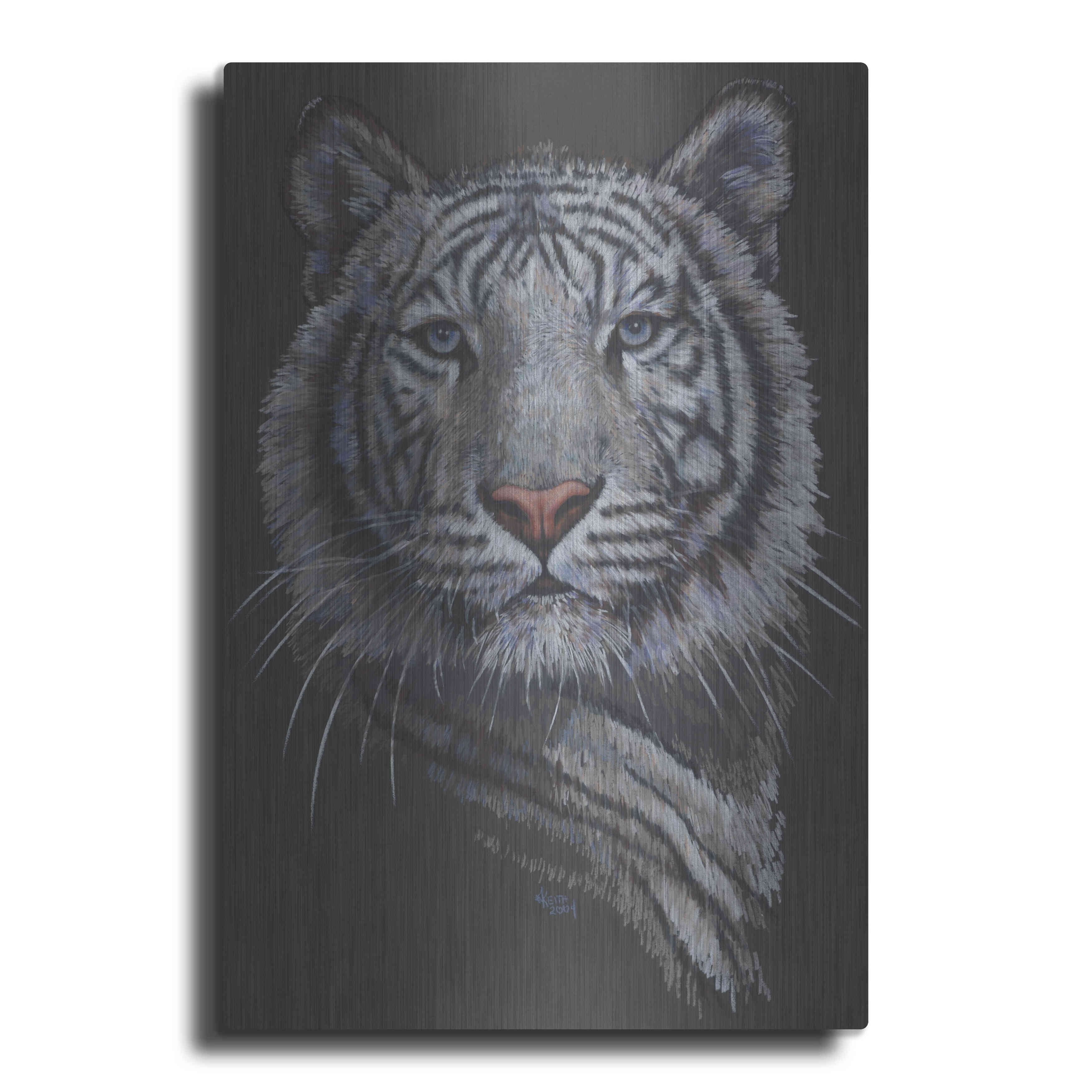 Luxe Metal Art 'Spector' by Barbara Keith, Metal Wall Art, 16"x24 ...