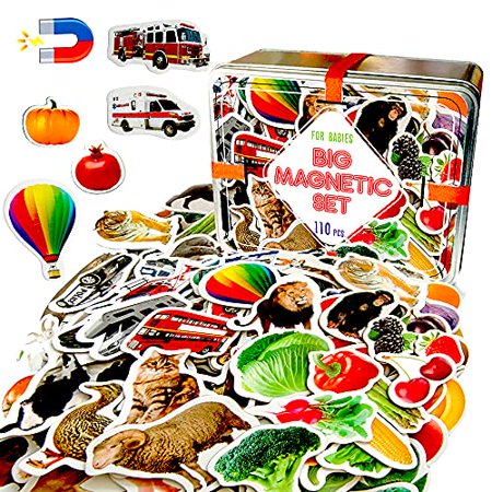 Magdum Kids Magnets for Fridge Farm+Zoo+Fruits+Vegs+Transport Photo in ...