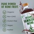 Healing Noni Organic Hawaiian Juice, 32oz Glass Bottle, Raw Wellness ...