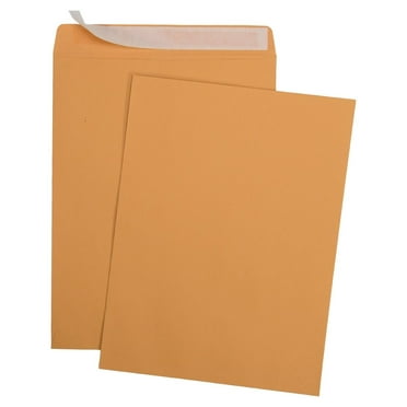 Avery Vinyl File Envelopes, 4" x 6", 10 Clear Envelopes (74806 ...