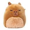 Squishmallows 11" Lijjian the Capybara - Walmart.com