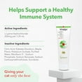 Vetoquinol Viralys L-Lysine Immune System Supplement Gel for Cats ...