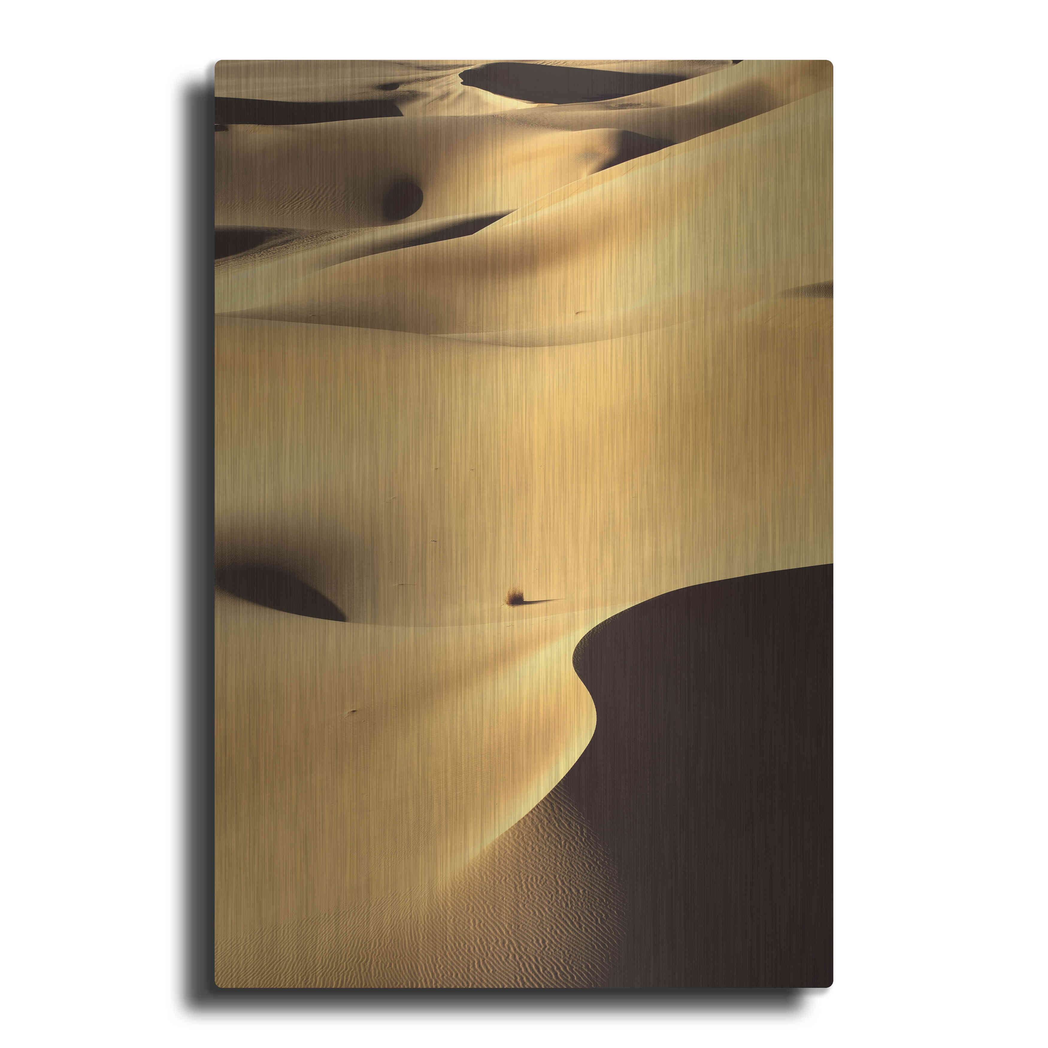 Luxe Metal Art 'In the Dunes 1' by Design Fabrikken, Metal Wall Art, 12 ...