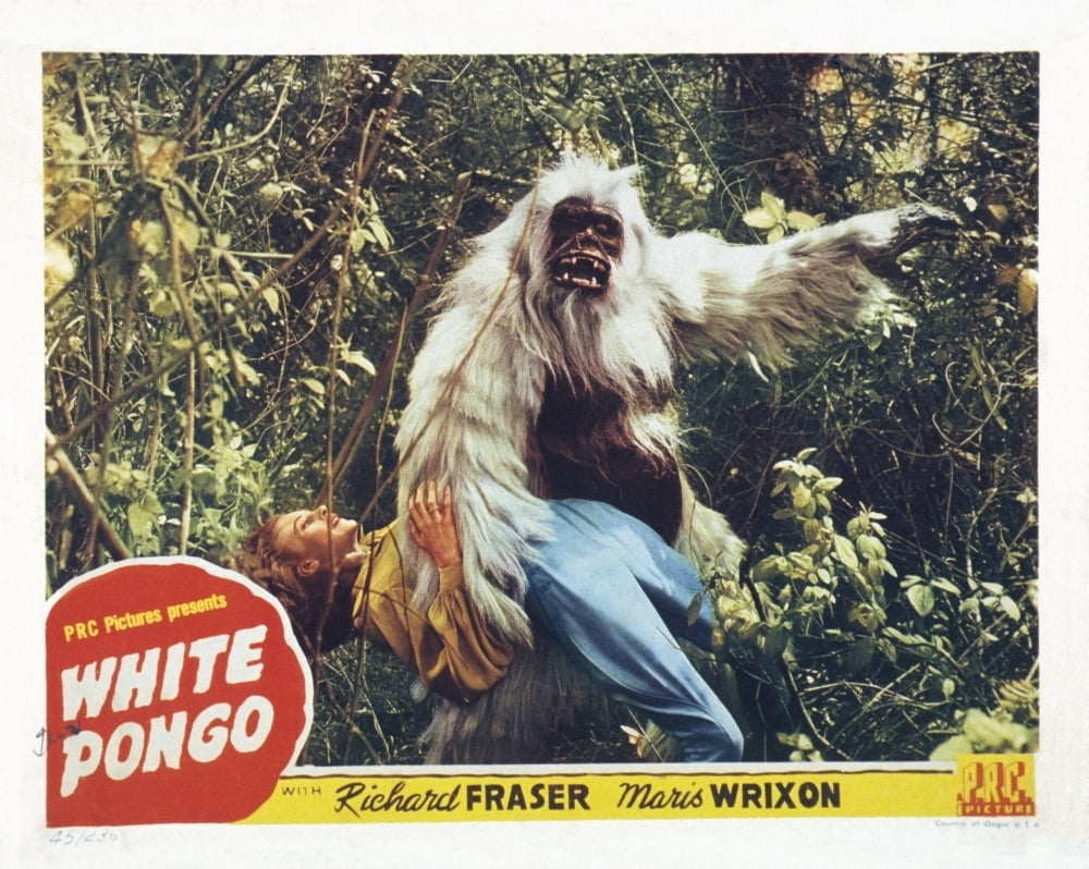White Pongo Still (10 x 8) - Walmart.com - Walmart.com