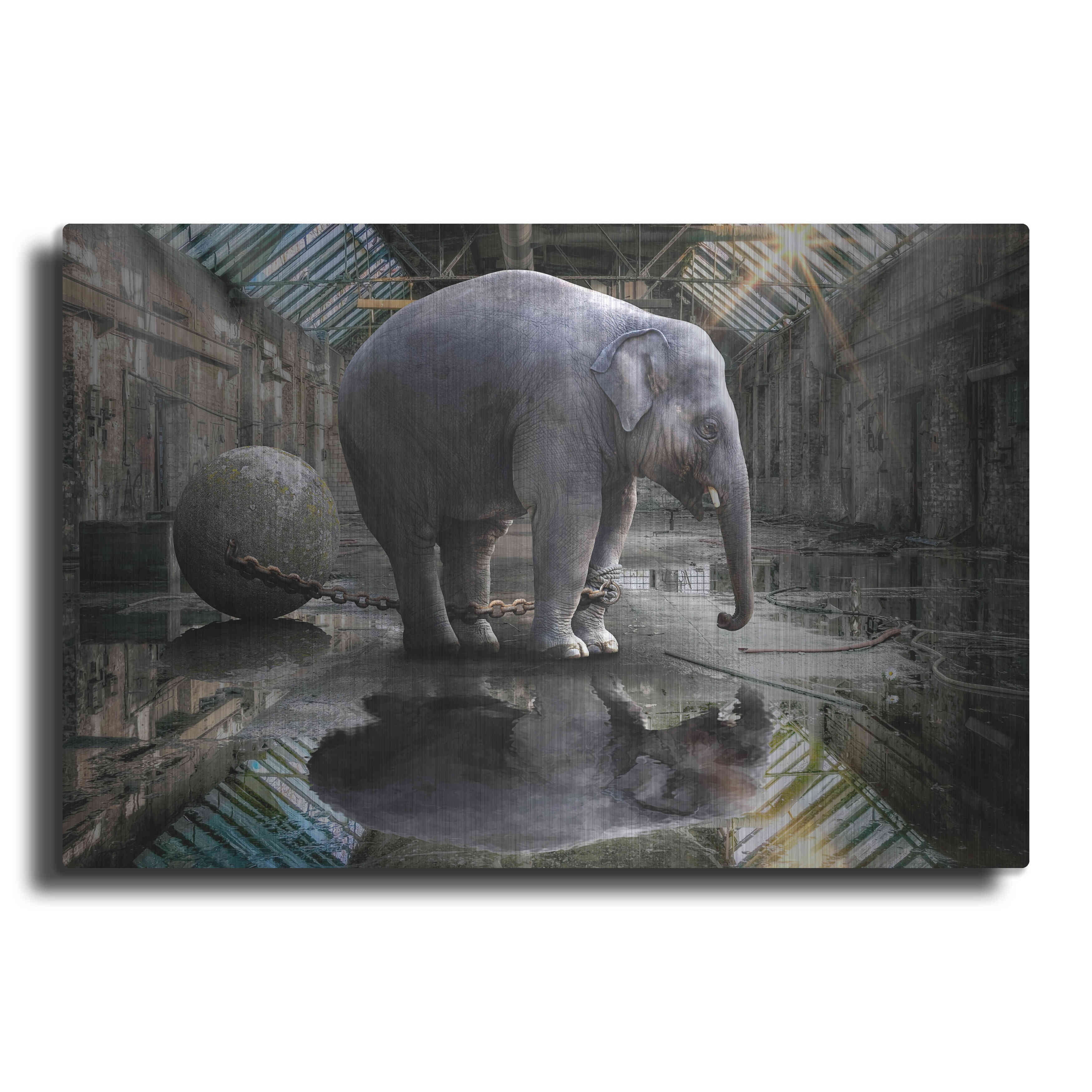 Luxe Metal Art 'The Big Grey' by Alan, Metal Wall Art, 24"x16 ...
