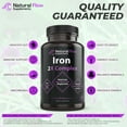 Natural Flow Iron Supplement, Gentle on Stomach, 2-in-1 Premium Complex ...