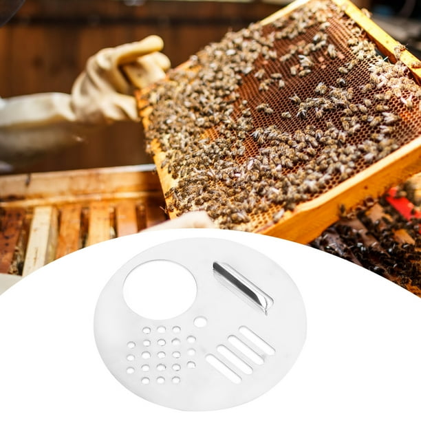 Bees Box Door, Beehive Door Metal Beehive Door, Compact Size Bees Box ...