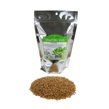 Protein Powerhouse Sprouting Seed Mix- Organic- 2.5 Lbs - Handy Pantry ...