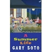 Novio Boy: A Play, (Paperback) - Walmart.com