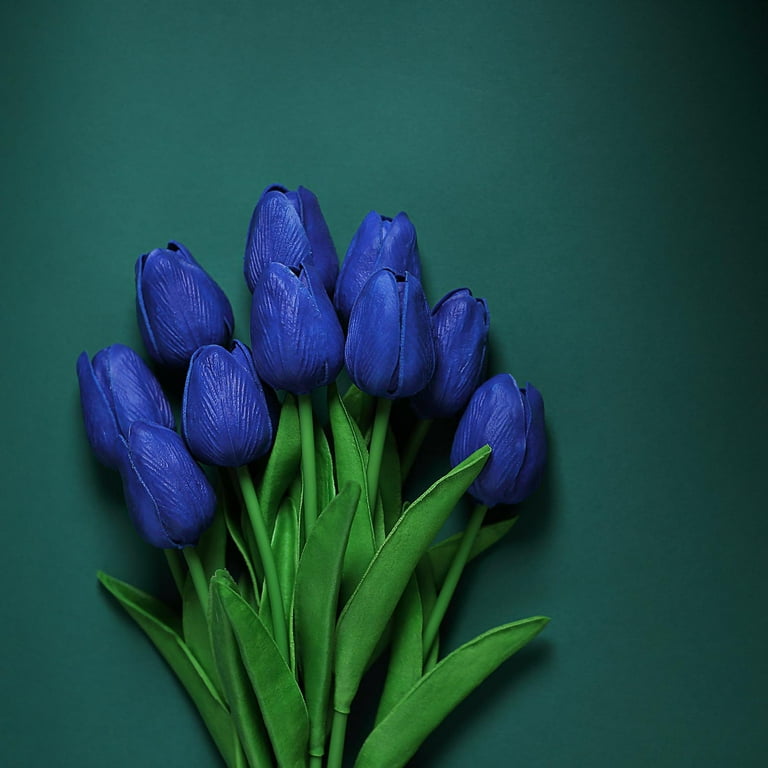 Real Blue Tulips