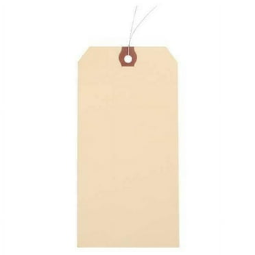 Manufacturer Varies Blank Shipping Tag,Paper,Colored,PK1000 1GYY5 ...